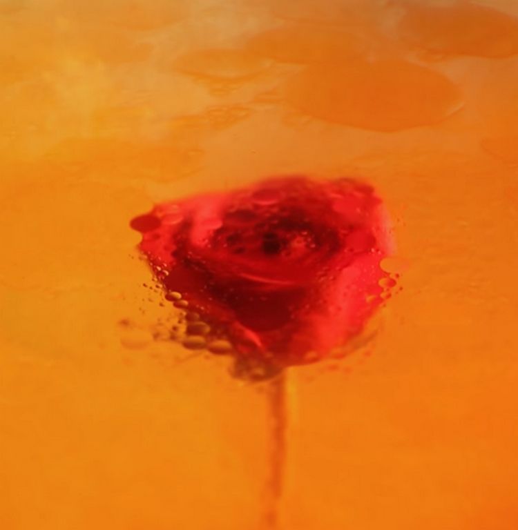 Moses Sumney: Quarrel – El Santo del Rock