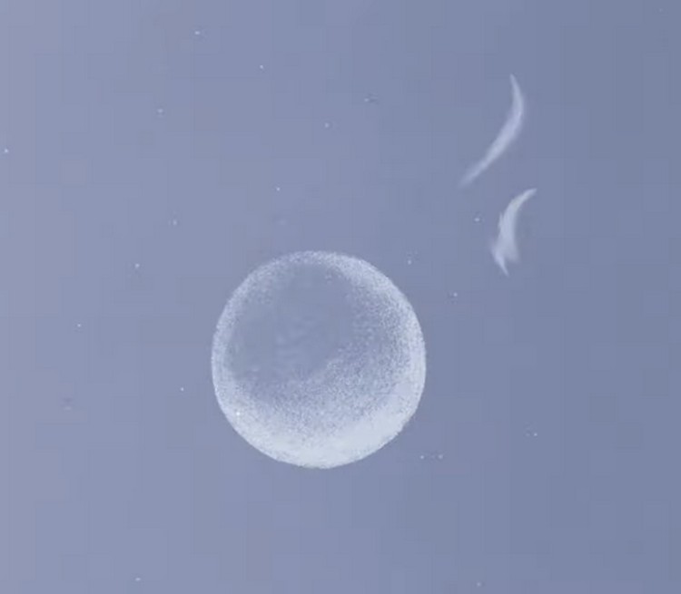 Martha Bean: Circles – El Santo del Rock